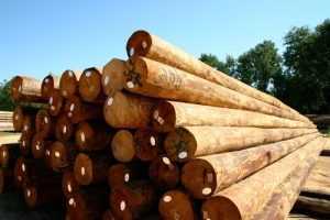 Commercial Utility Poles | Capitol City Lumber