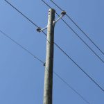 Commercial Utility Poles | Capitol City Lumber