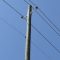 Commercial Utility Poles | Capitol City Lumber