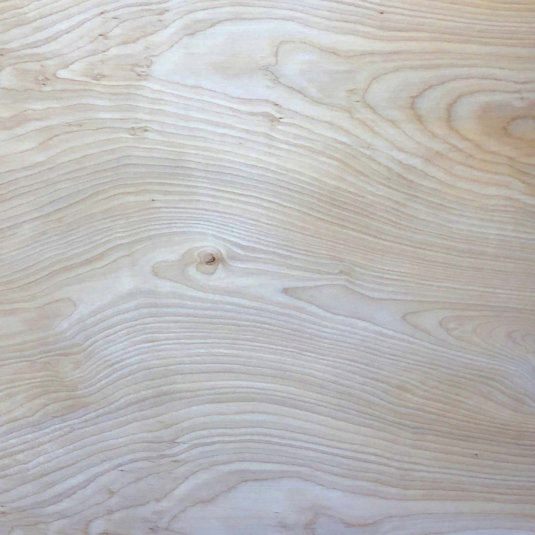 Birch (Natural) Flat Cut Veneer | Capitol City Lumber
