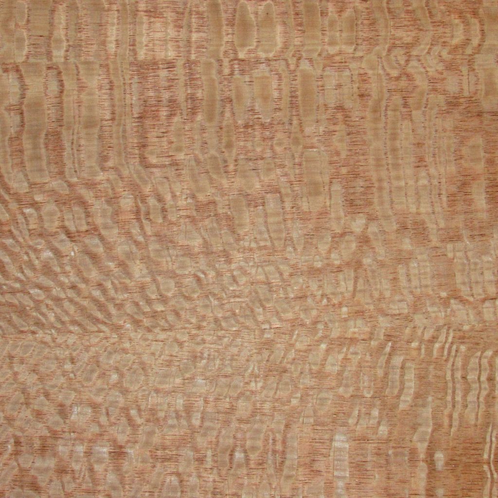 Lacewood Plain Sliced Wood Veneer | Capitol City Lumber