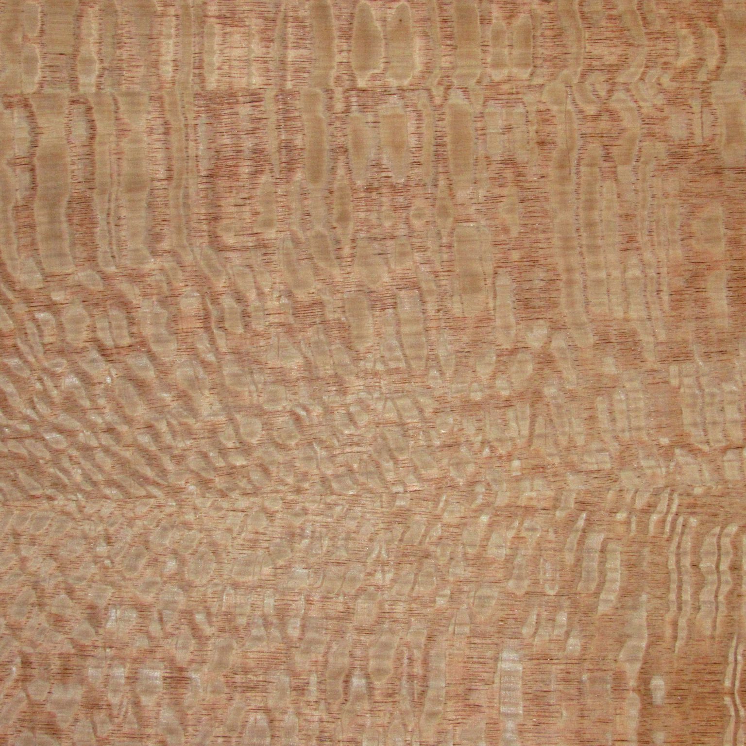 Lacewood Plain Sliced Wood Veneer | Capitol City Lumber