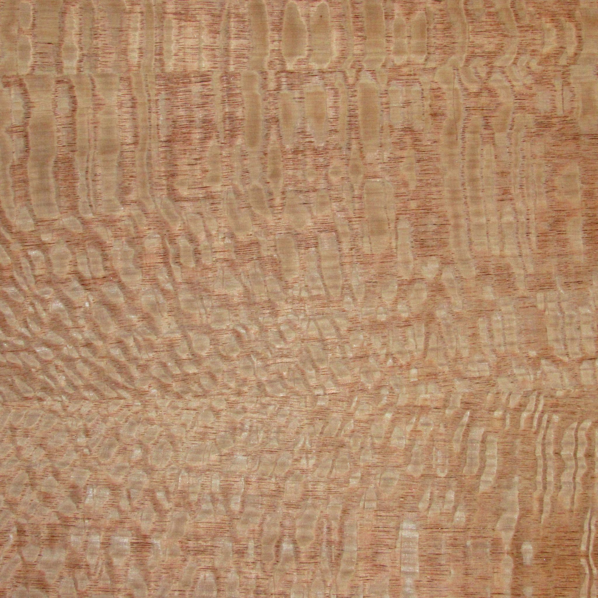 Lacewood Plain Sliced Wood Veneer | Capitol City Lumber