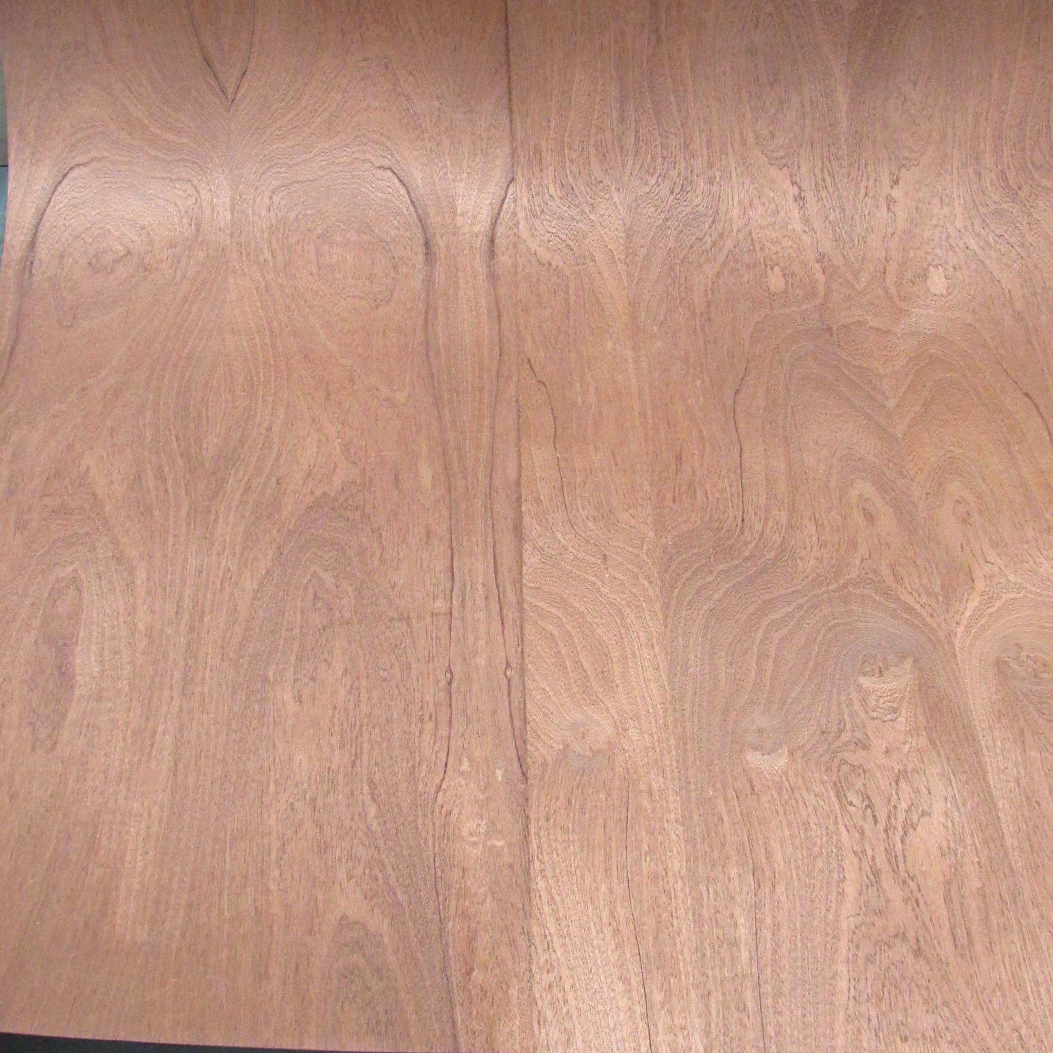 Sapele Plain Sliced Wood Veneer | Capitol City Lumber