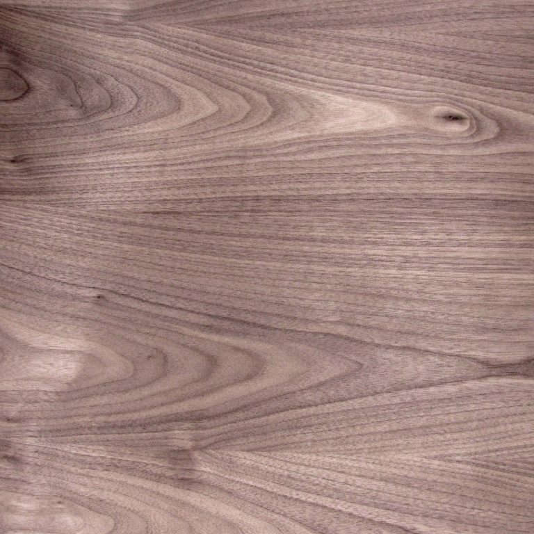 Walnut, American Plain Sliced Wood Veneer | Capitol City Lumber