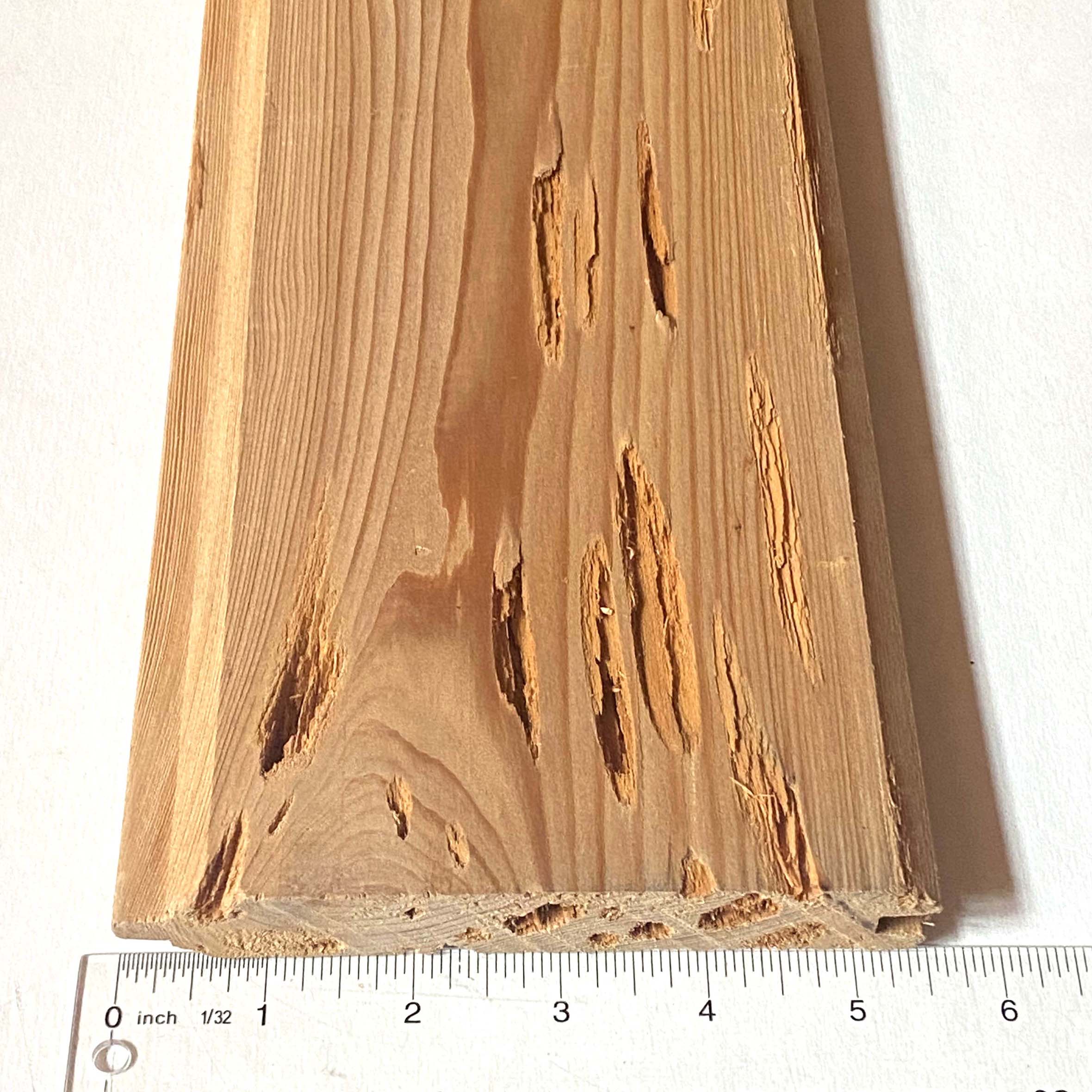 Pecky Cypress Paneling | Capitol City Lumber