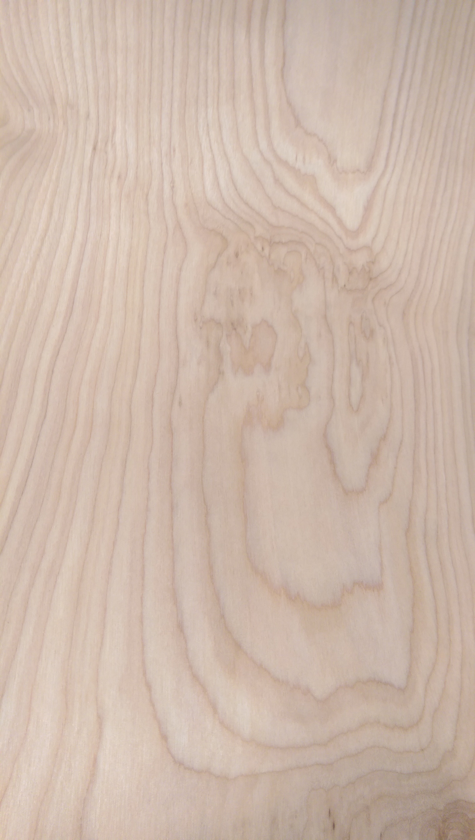 Birch (Natural) Flat Cut Veneer | Capitol City Lumber